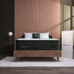 Logan & Cove Pinnacle Hybrid Mattress - Canadian Luxury